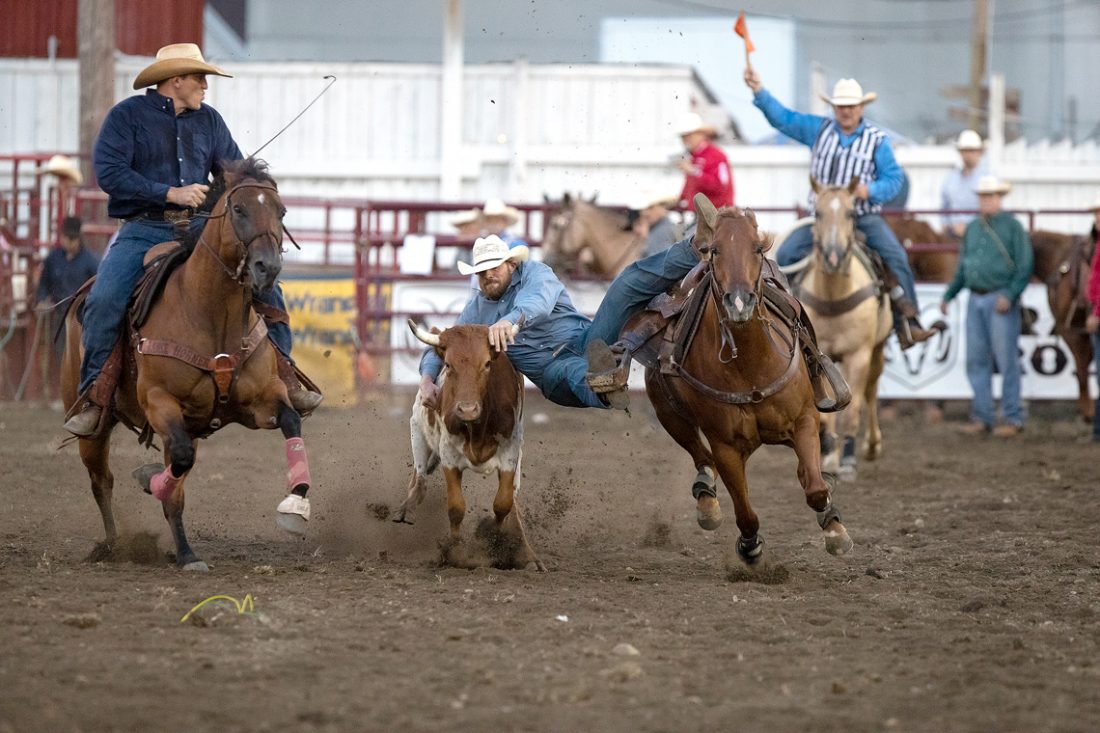 Gerry Fire Department’s PRCA Rodeo Is Back In A Big Way | News, Sports ...